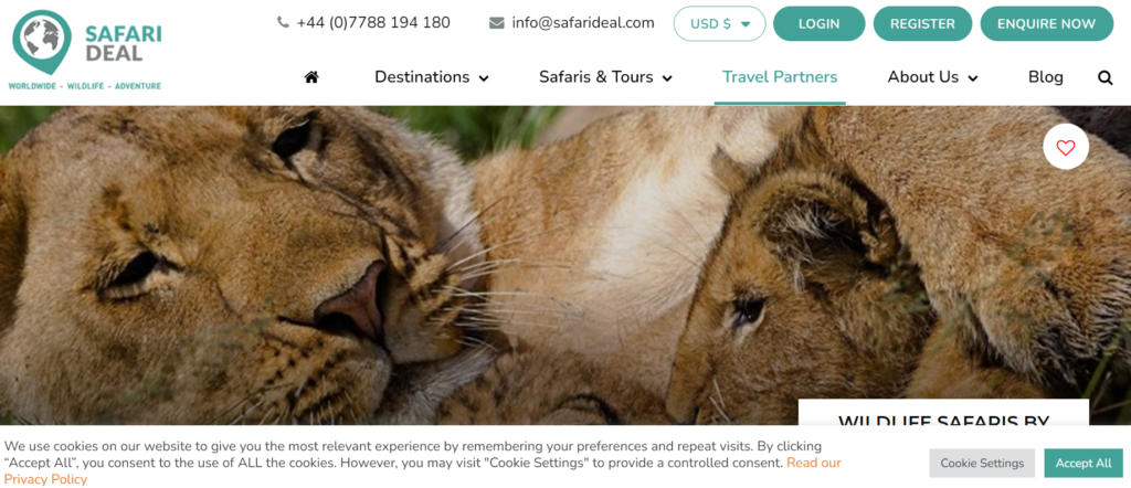 【7社比較】キリマンジャロ登山にオススメの現地ツアー会社は？TOEIC500点でも連絡とる方法！